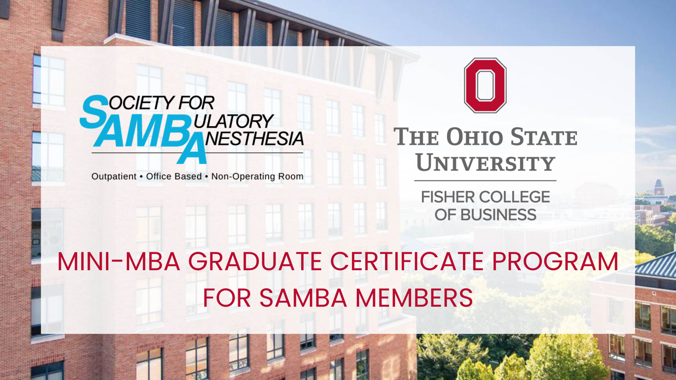 Mini-MBA Graduate Certificate Program